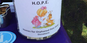 Homes for Orphaned Pets Exist